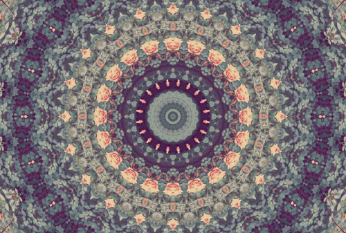 The Global Drug Survey Says You're Taking MDMA Wrong | Inverse