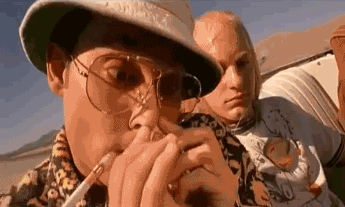 The Science of Cute and Why You Want to Bite This Baby Red Panda | Inverse