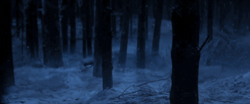 All The Best Rey GIFs From 'Star Wars The Force Awakens' | Inverse