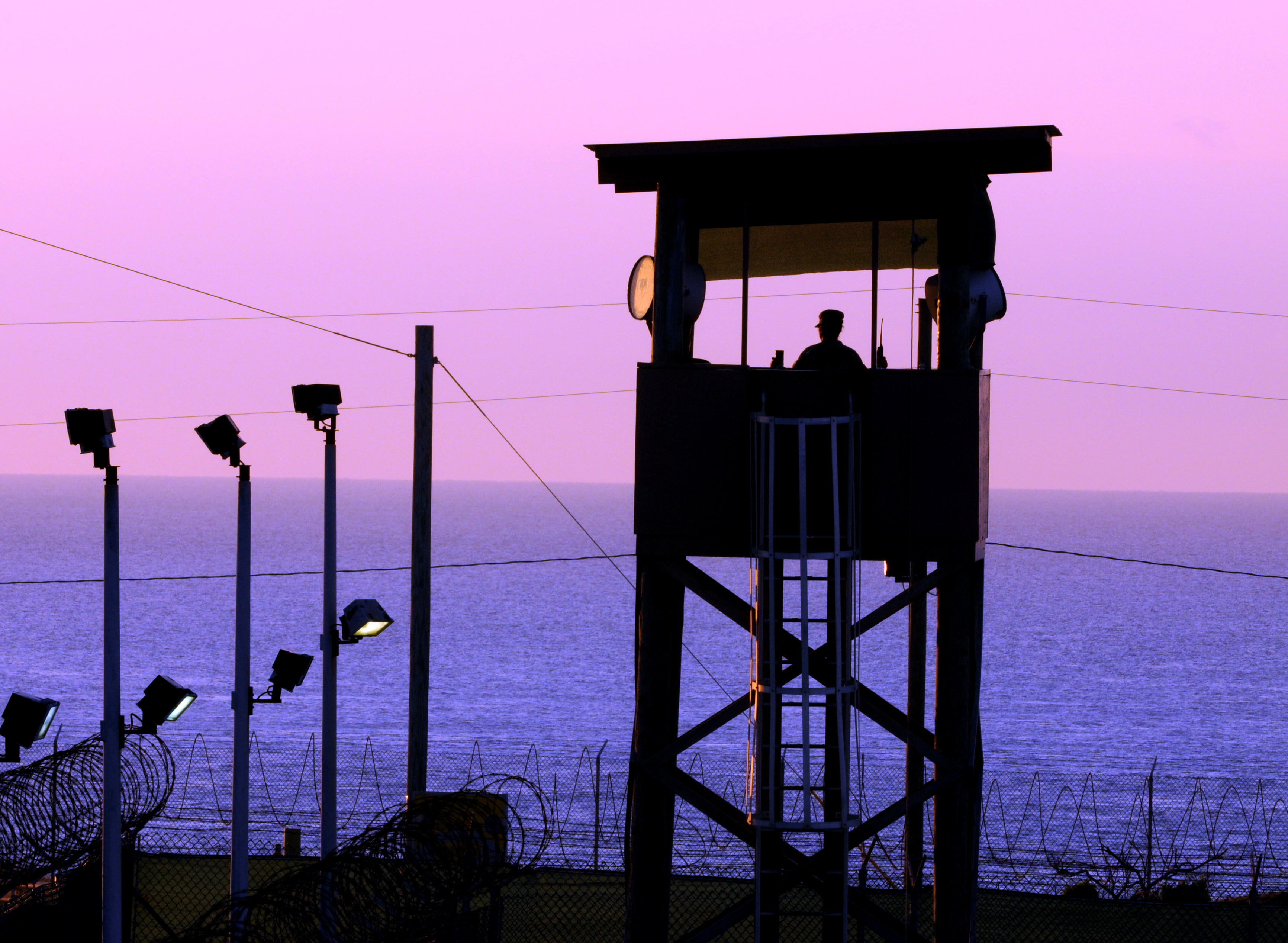 Why Biologist Joe Roman Wants to Turn Gitmo Into Laboratory | Inverse