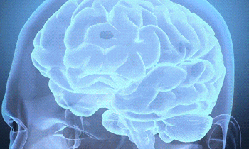 Where Do EEG Brainwaves Come From? | Inverse