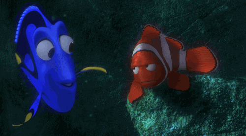Scientists Are Worried That the 'Finding Nemo' Sequel Will Hurt This ...