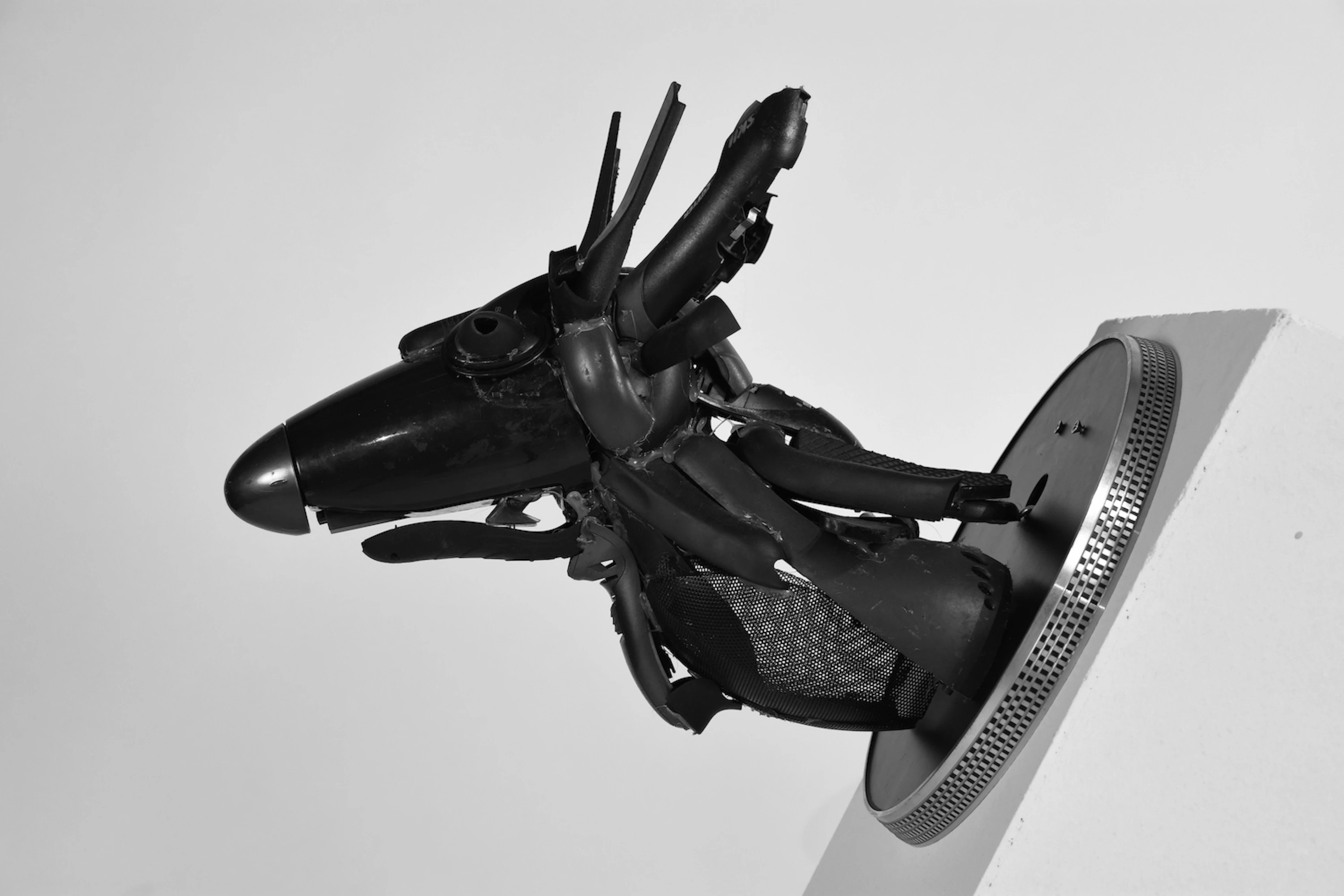 Robot Animal Zookeeper: Tim Hobbelman Creates Wild Beauty From Dead ...