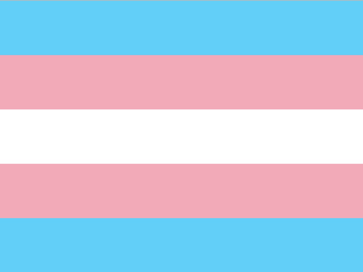 Trans Day of Visibility: Activists Explain What It Means to 'Be Seen ...