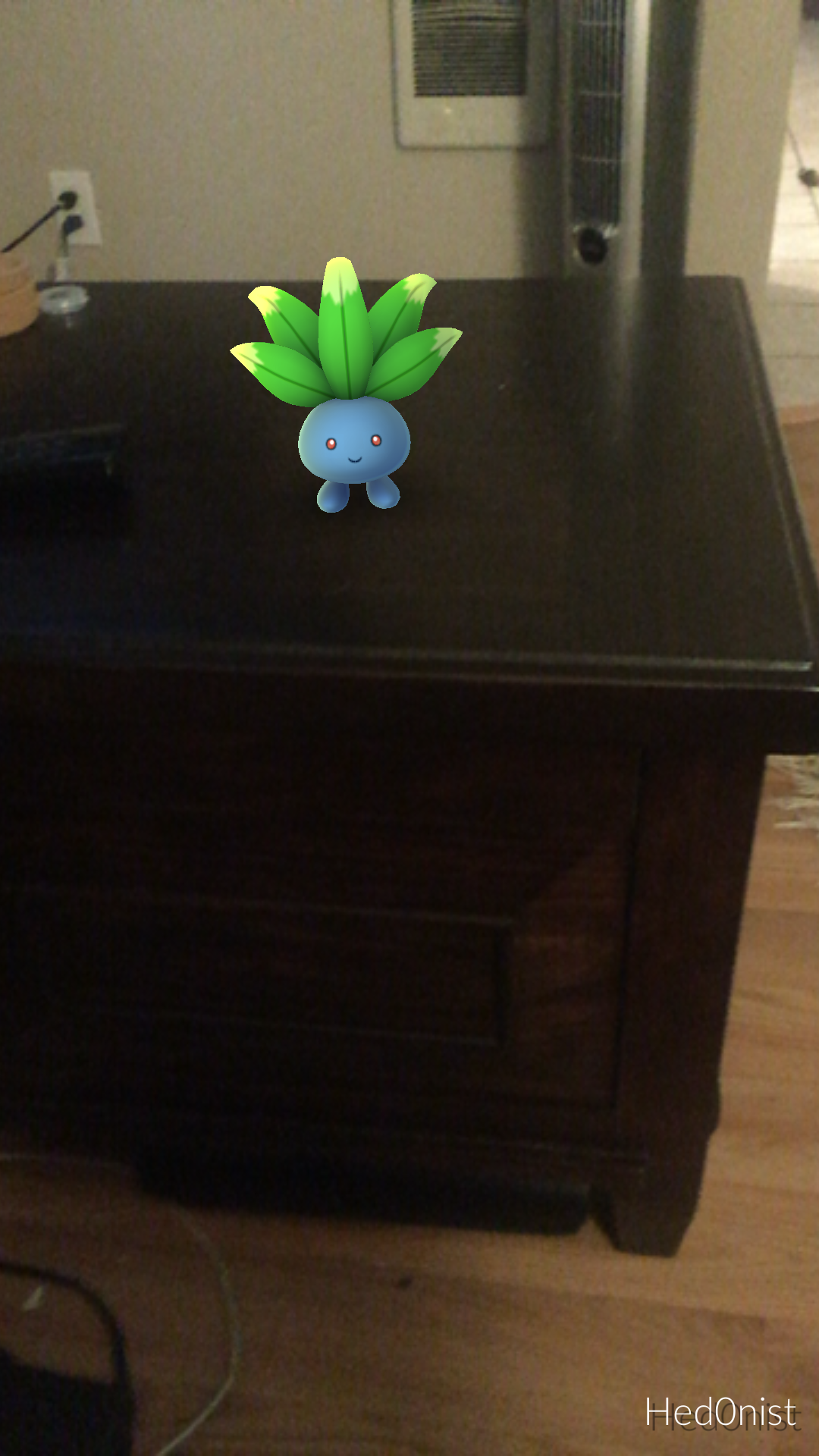 Tips For Playing ‘Pokemon GO’ in a Rural Setting | Inverse