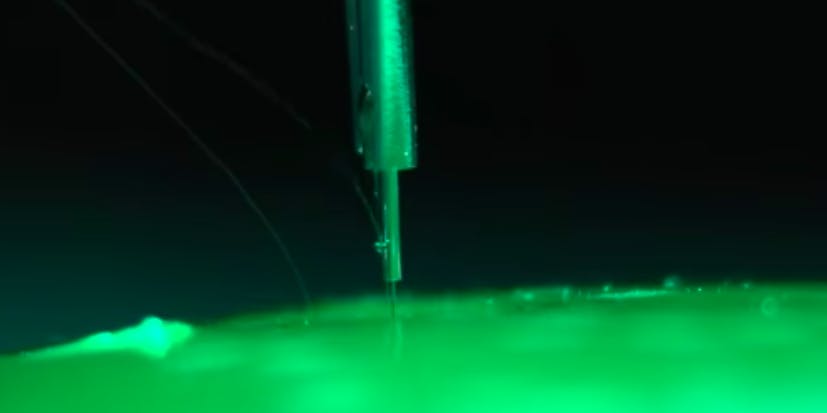 Will Neuralink Be Durable? Elon Musk’s Radical Idea Faces Historic ...