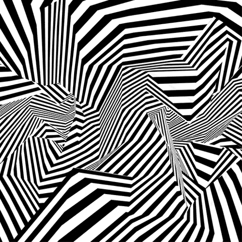 How Motion Dazzle Works and Why it Matters to a Zebra | Inverse