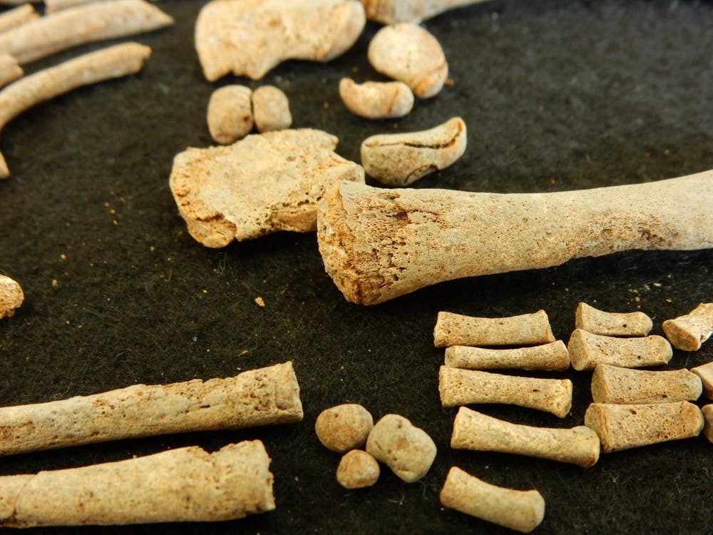 Oldest-Ever Syphilis DNA Sequenced From Convent Cemetery Skeletons ...