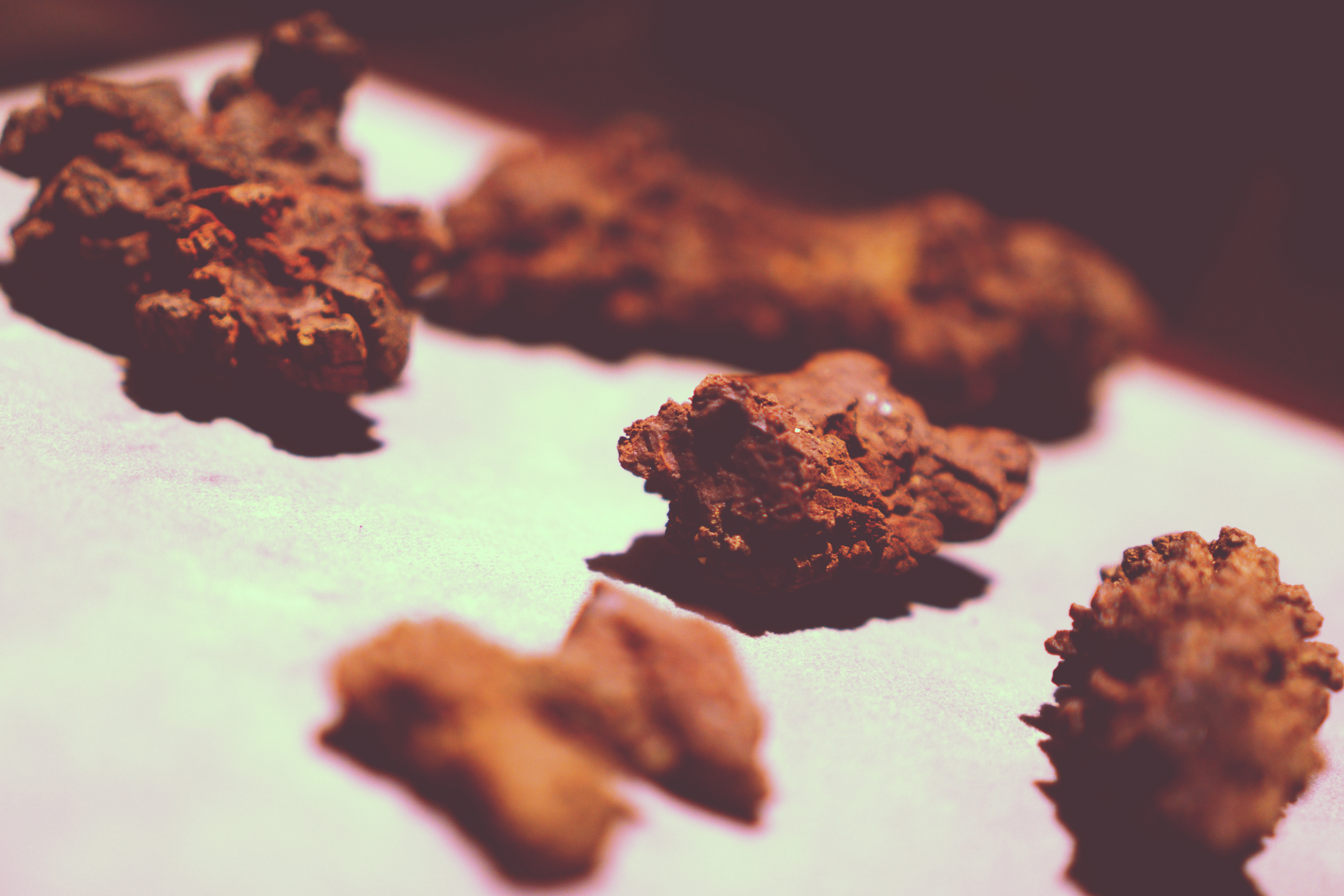 A Particle Accelerator Analyzed Fossilized Dinosaur Poop | Inverse