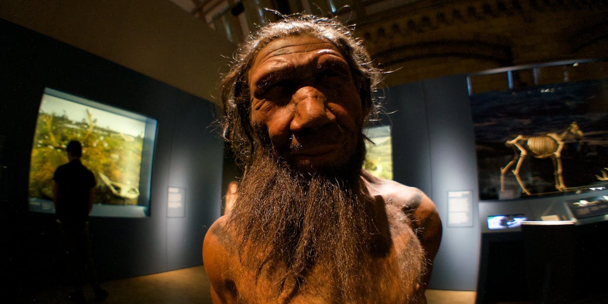 Did Inbreeding Kill the Neanderthals? Experts Say Skeletons Hold Clues ...