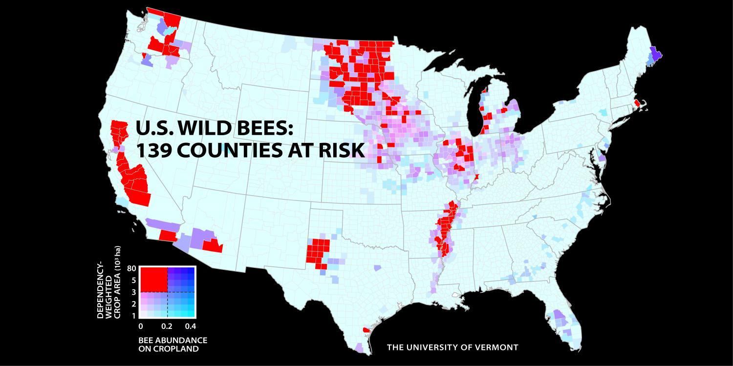 These Maps Show How Bad It's Become for U.S. Bees | Inverse