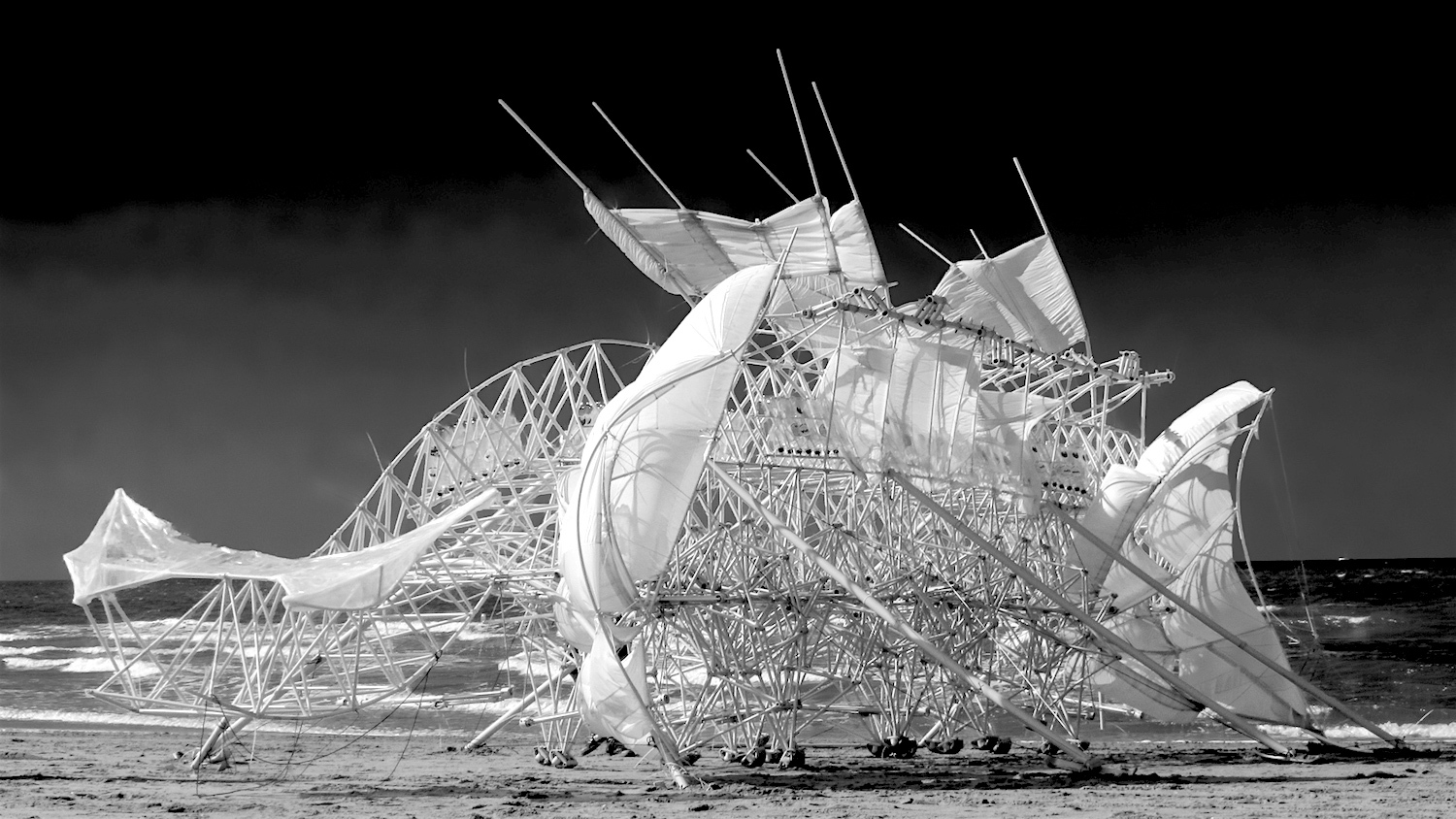 Theo Jansen's Supernatural Strandbeests Invade San Francisco's Beaches ...