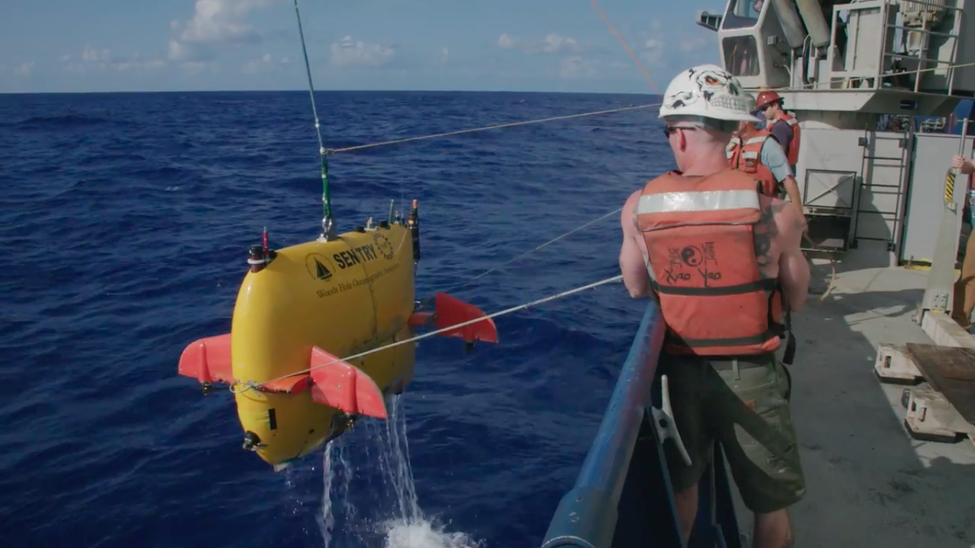 Watch This “Drone Gun” Safely Take Down a DJI Phantom | Inverse