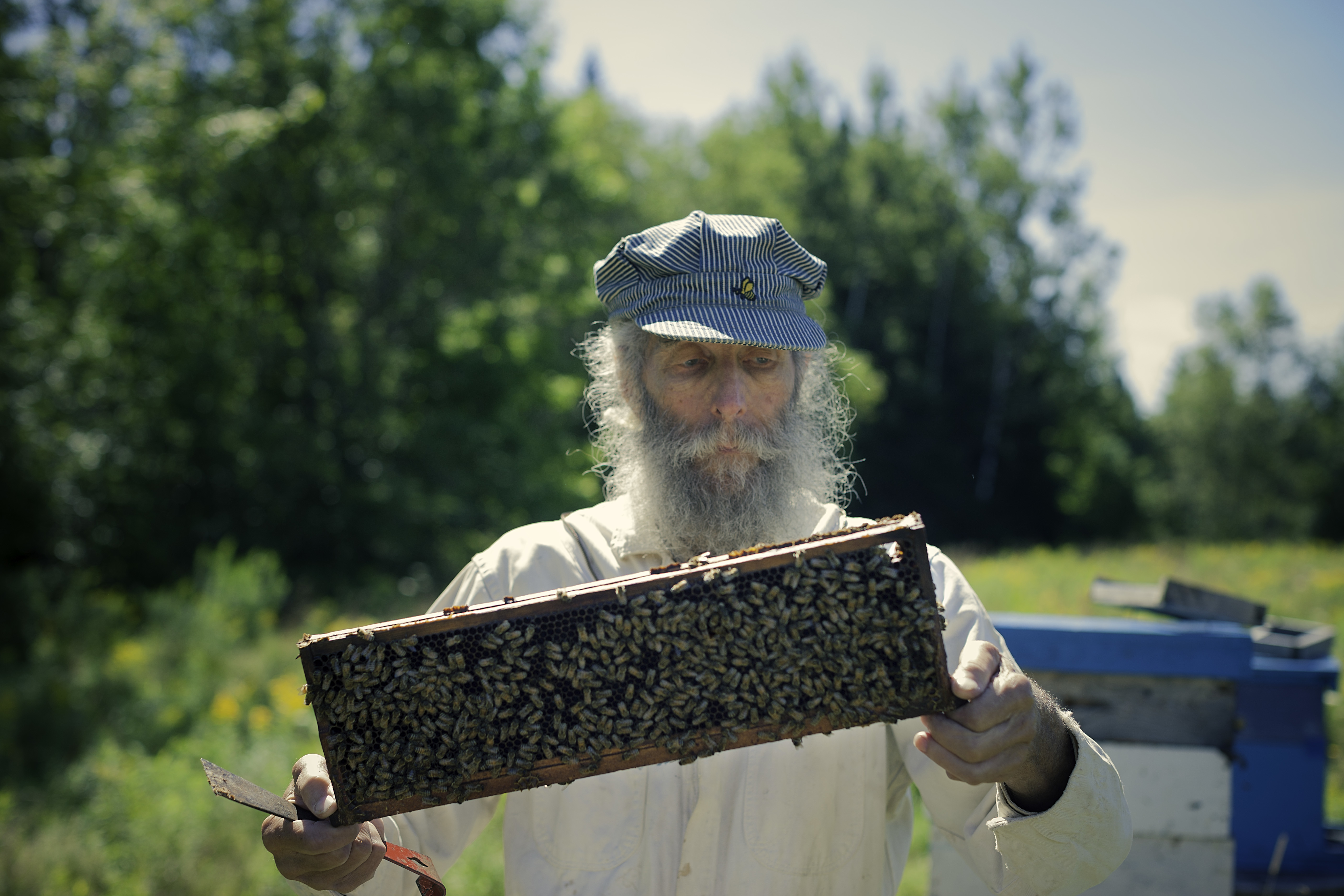 Burt Shavitz of Burt's Bees Led a Controversial Life Built on Beeswax ...
