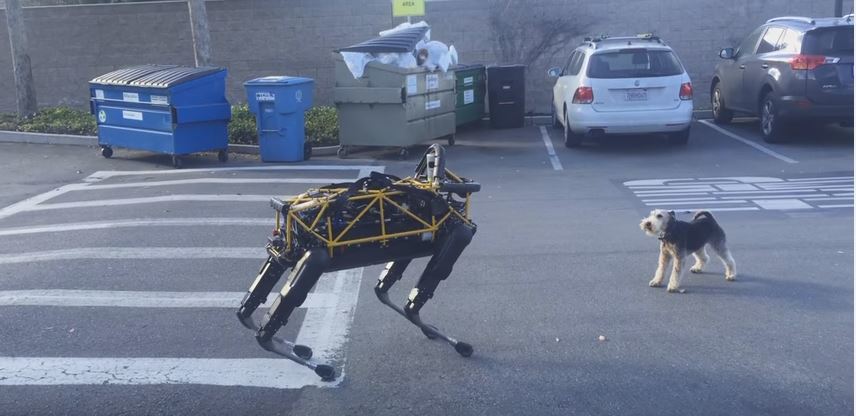 Dog vs. Robot Dog Video Offers a Glimpse of the Uncanny Canine Valley ...
