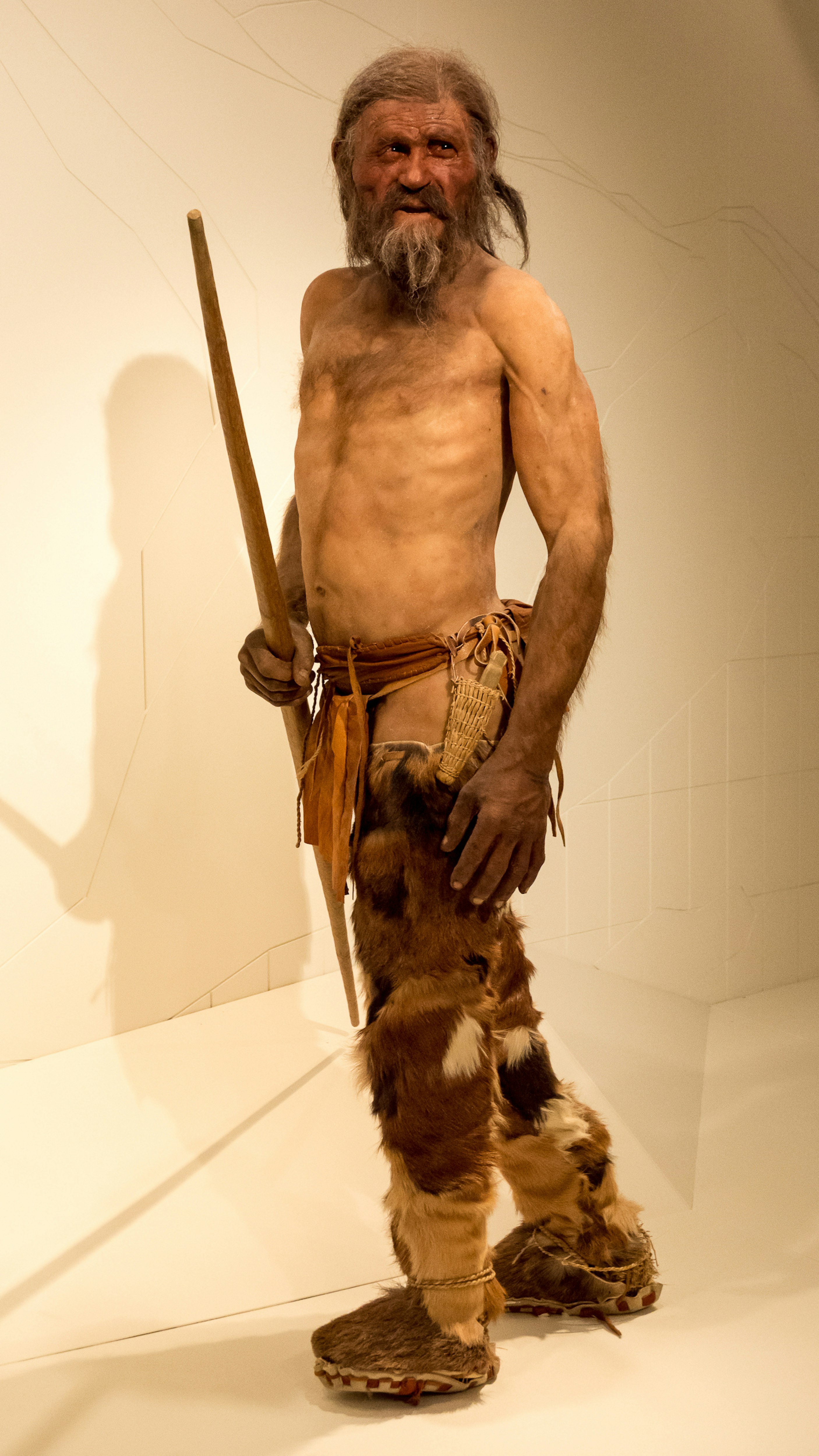 Ötzi the Iceman's Been Busy Offering Gifts to Science The Past 25 Years ...
