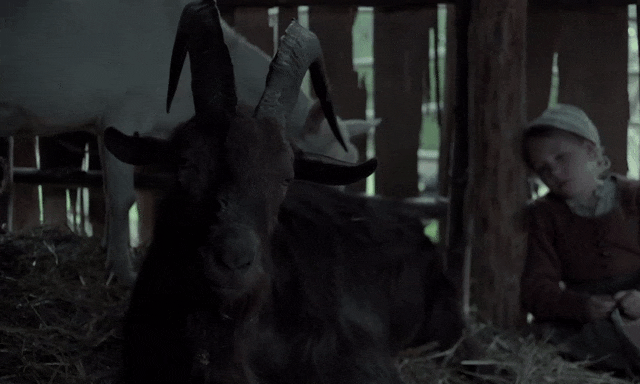 20 Gloriously Satanic GIFs from 'The Witch' | Inverse