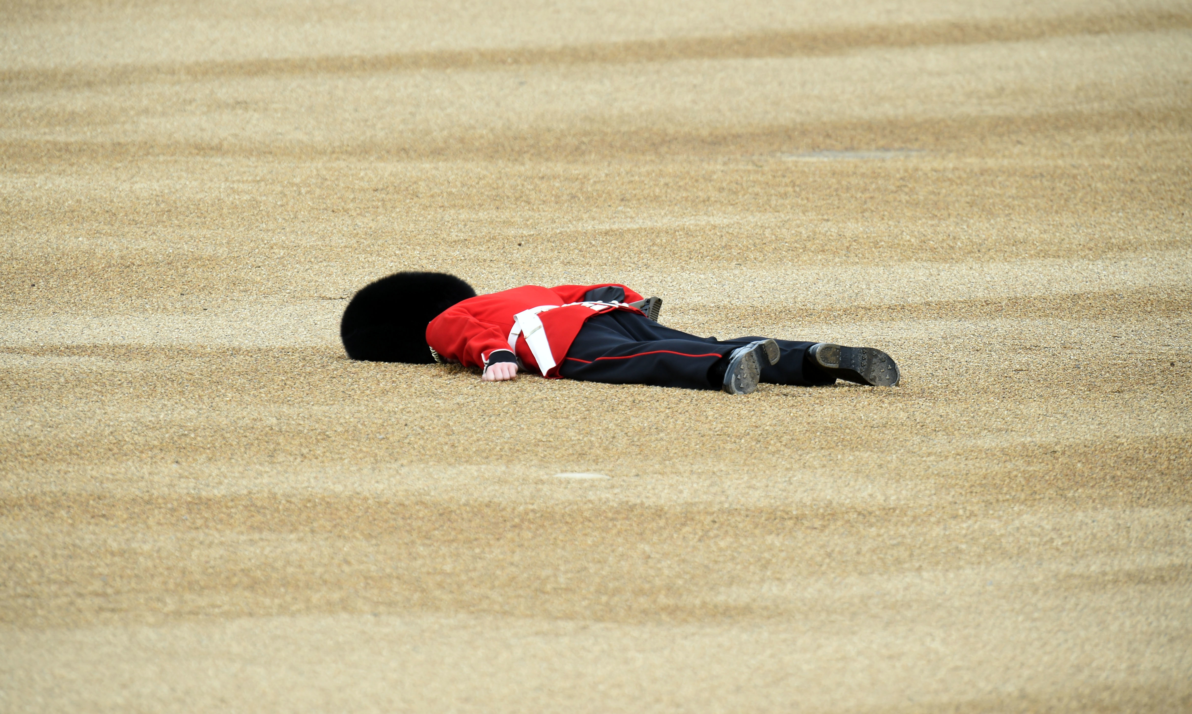 Guardsman Faints During Queen's Birthday: Here’s Why | Inverse