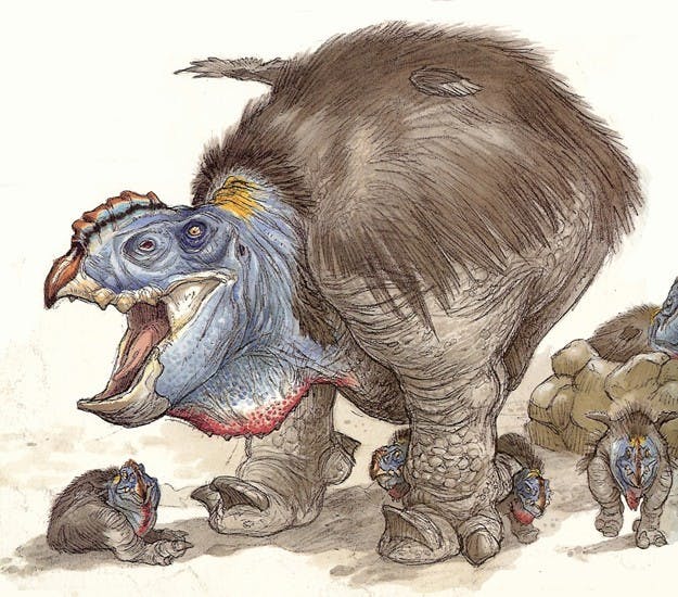 Ranking the 10 Freakiest Creatures in 'Star Wars' History | Inverse