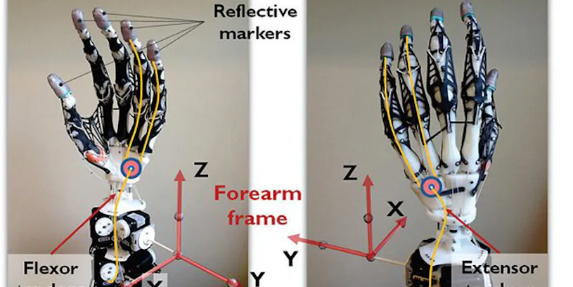 Scientists In Washington Have Created the Most Lifelike Robotic Hand ...