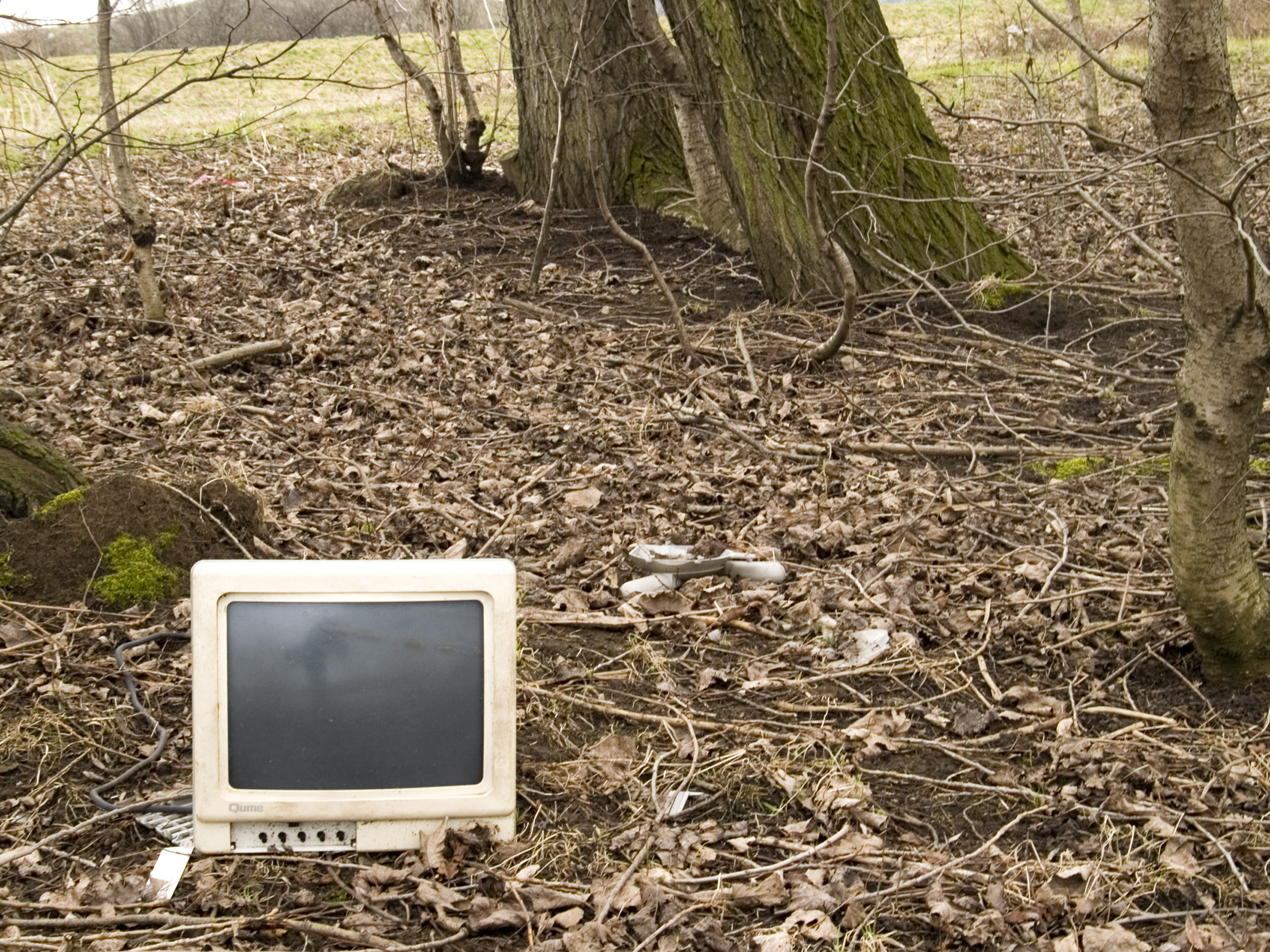The U.S. Military's Most Advanced Fighter Jet Gets Grounded By Bees ...