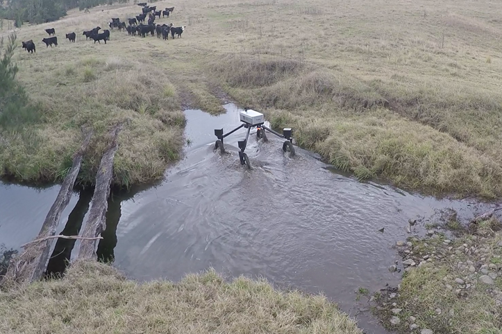 Agriculture, Meet SwagBot: The Remote-Controlled, Cattle-Herding Robot ...