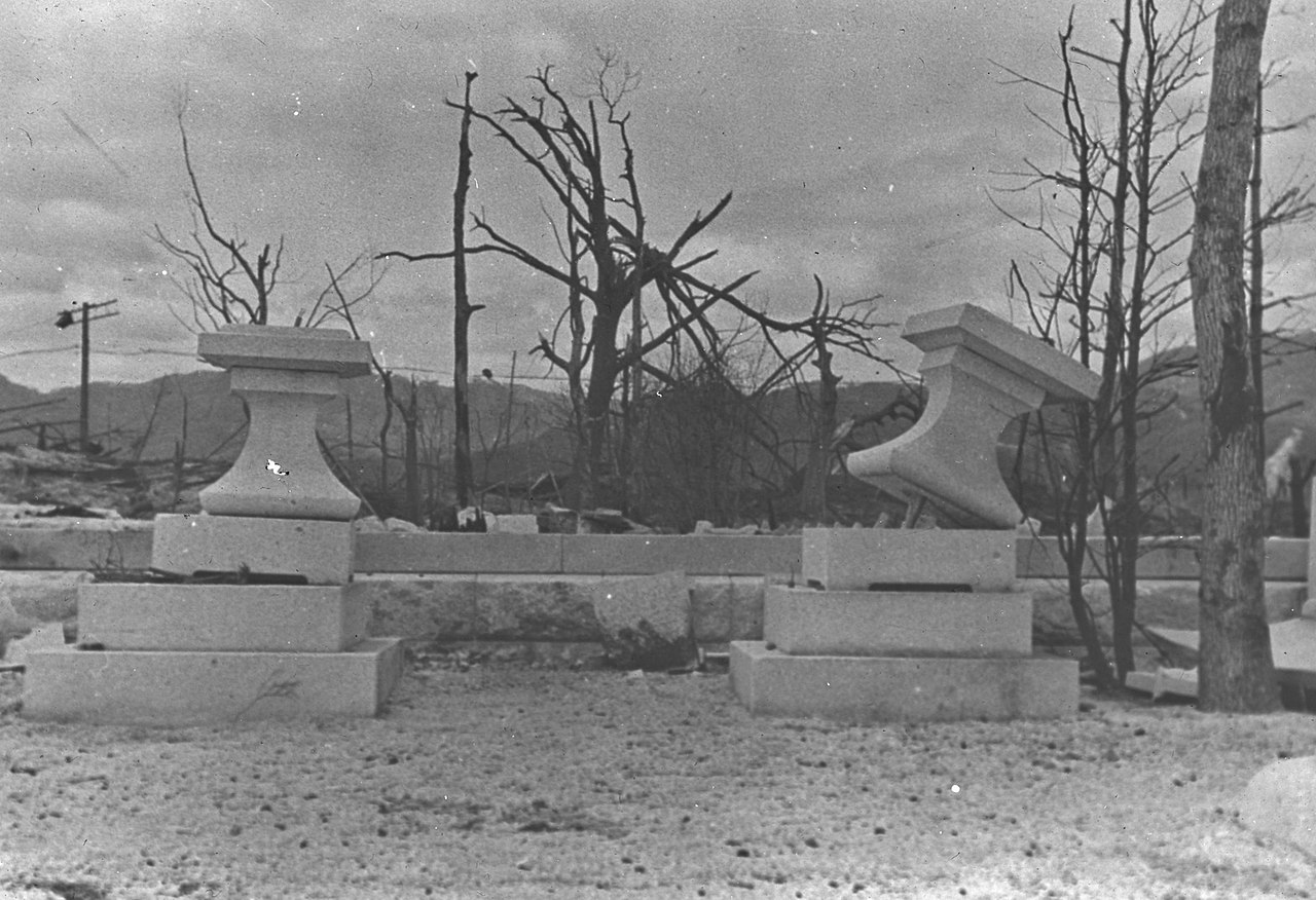 Hiroshima A-Bomb: Ginkgo Trees That Survived the Blast Still Grow | Inverse