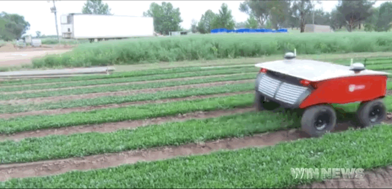 Australian Agriculture Sees Robot Growth as Cowboys Age and Fields ...