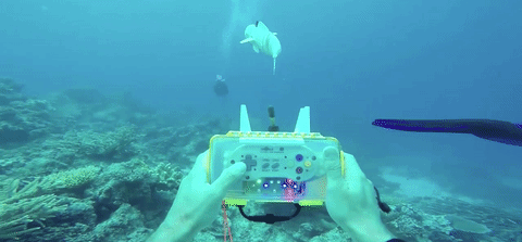 This MIT-Made Robot Fish Will Study the World's Fragile Coral Reefs ...