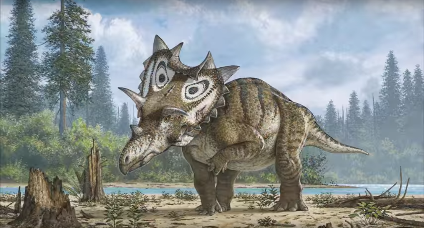 Montana Collector Discovers “Judith” Dinosaur, Keeps the Dream Alive ...