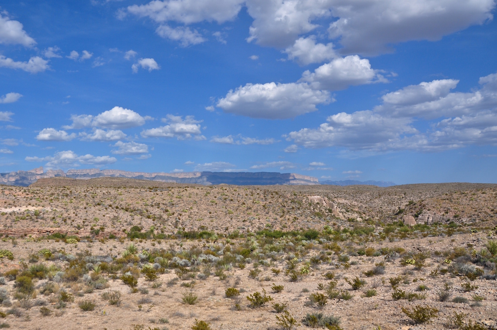 2,500 Scientists Warn Against the Border Wall's Huge Environmental Cost ...