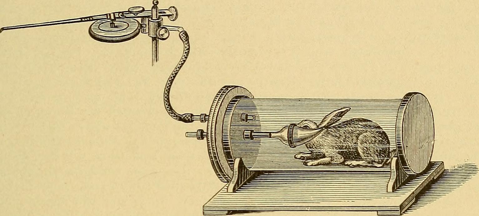 The Inventor of LSD's Orange Sunshine On Making the World More Trippy ...