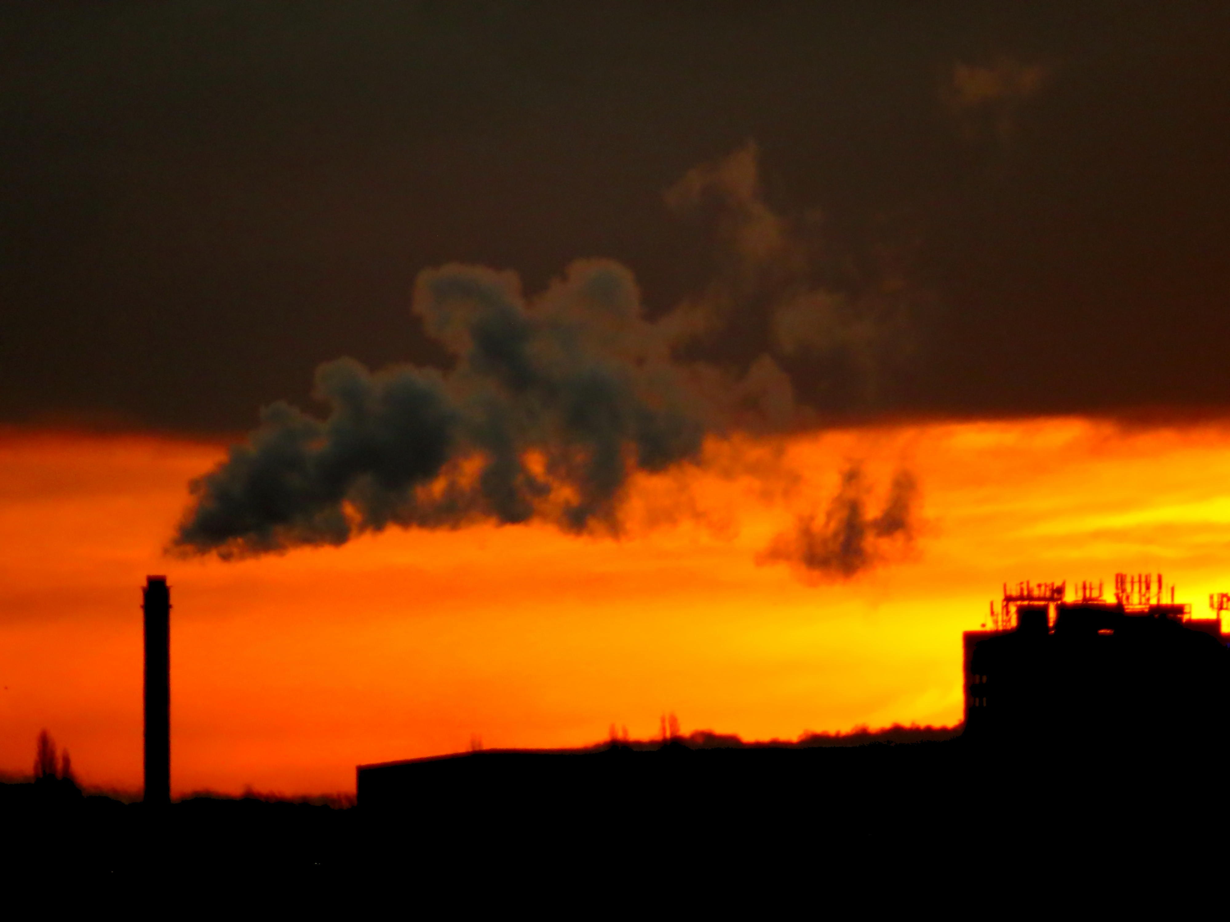 Why Sex Robot Rape on 'Westworld’ Has AI Researchers Worried | Inverse