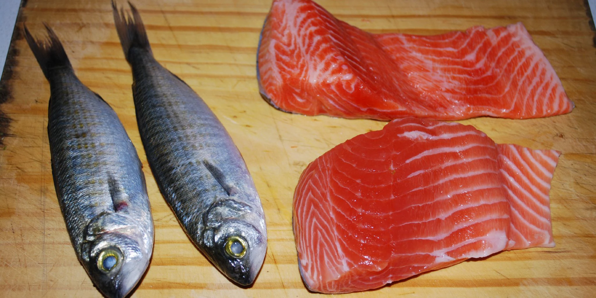 How Genetically Engineered Salmon Are Made | Inverse