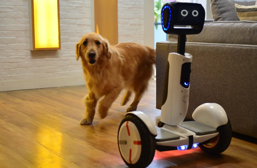 New Segway Turns Into a Robot With Big Round Eyes, Ready to Watch Your ...