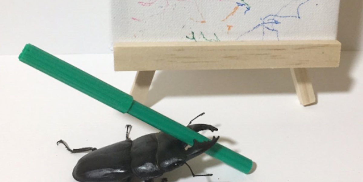 The Internet Has Fallen In Love with a Stag Beetle Named Spike | Inverse