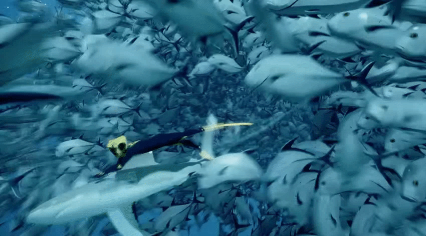 Chinese Tools Indicate Humans Migrated From Africa 2 Million Years Ago ...