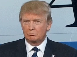 The White House Website Under Trump No Longer Has a Spanish Option ...