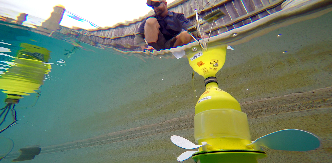 Underwater Robots Help Scientists See Where Marine Larvae Go and How ...