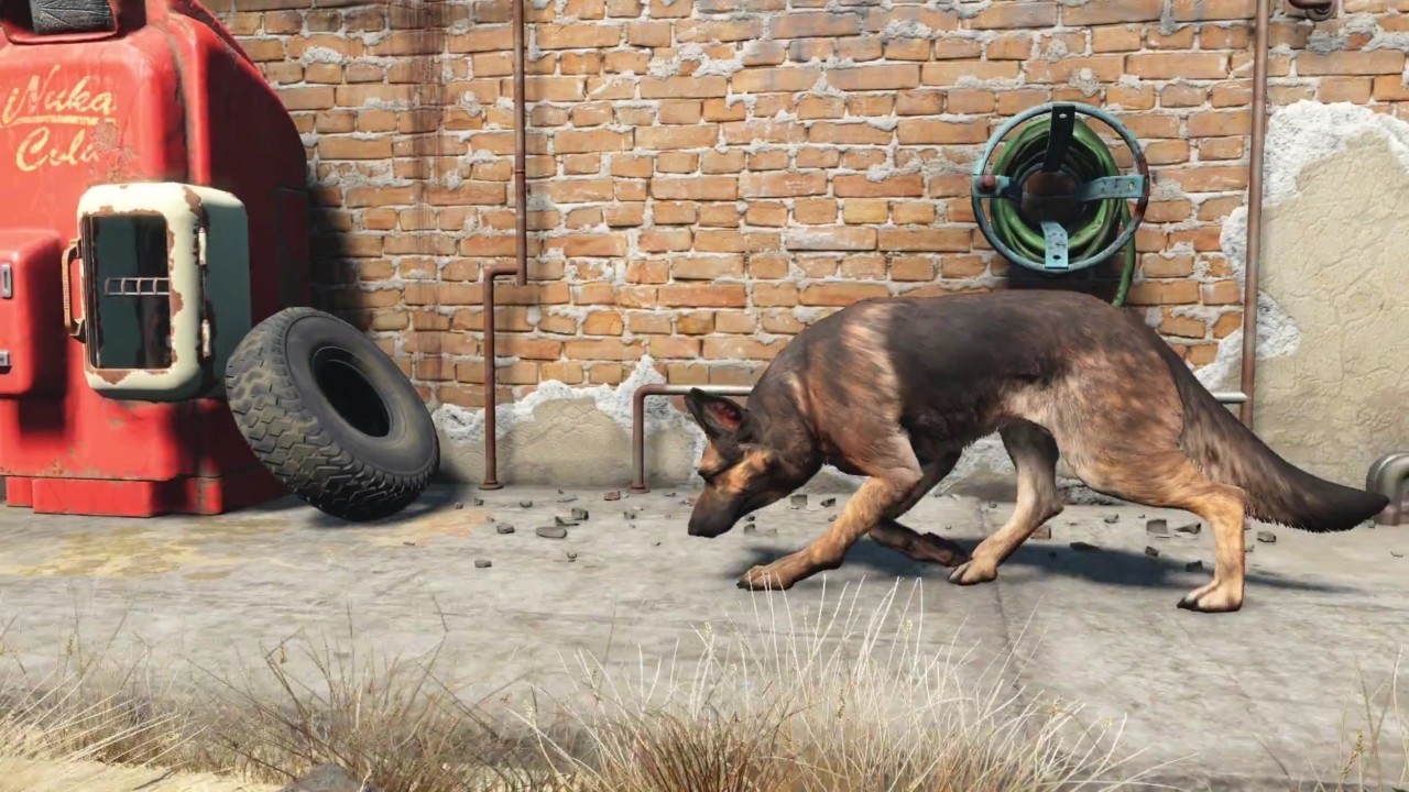 A Love Note To Dogmeat from ‘Fallout 4,' And Other Great Video Game ...