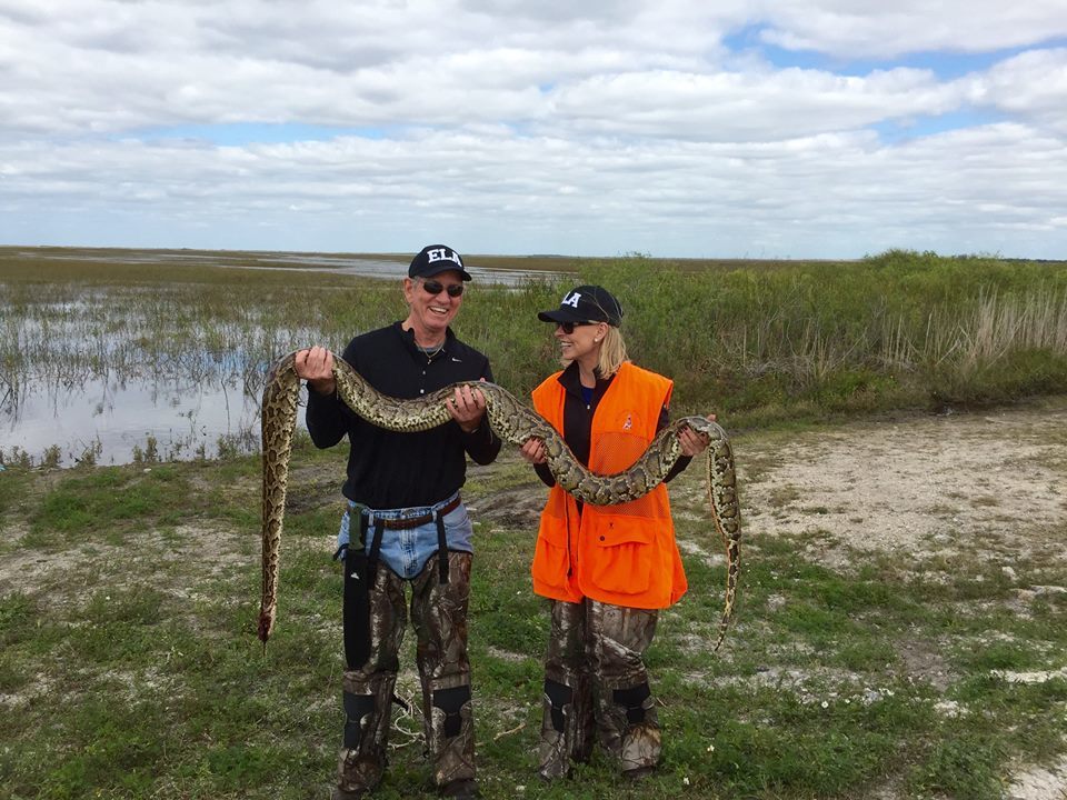 Python Challenge Nets 106 Invasive Snakes in Florida Everglades | Inverse