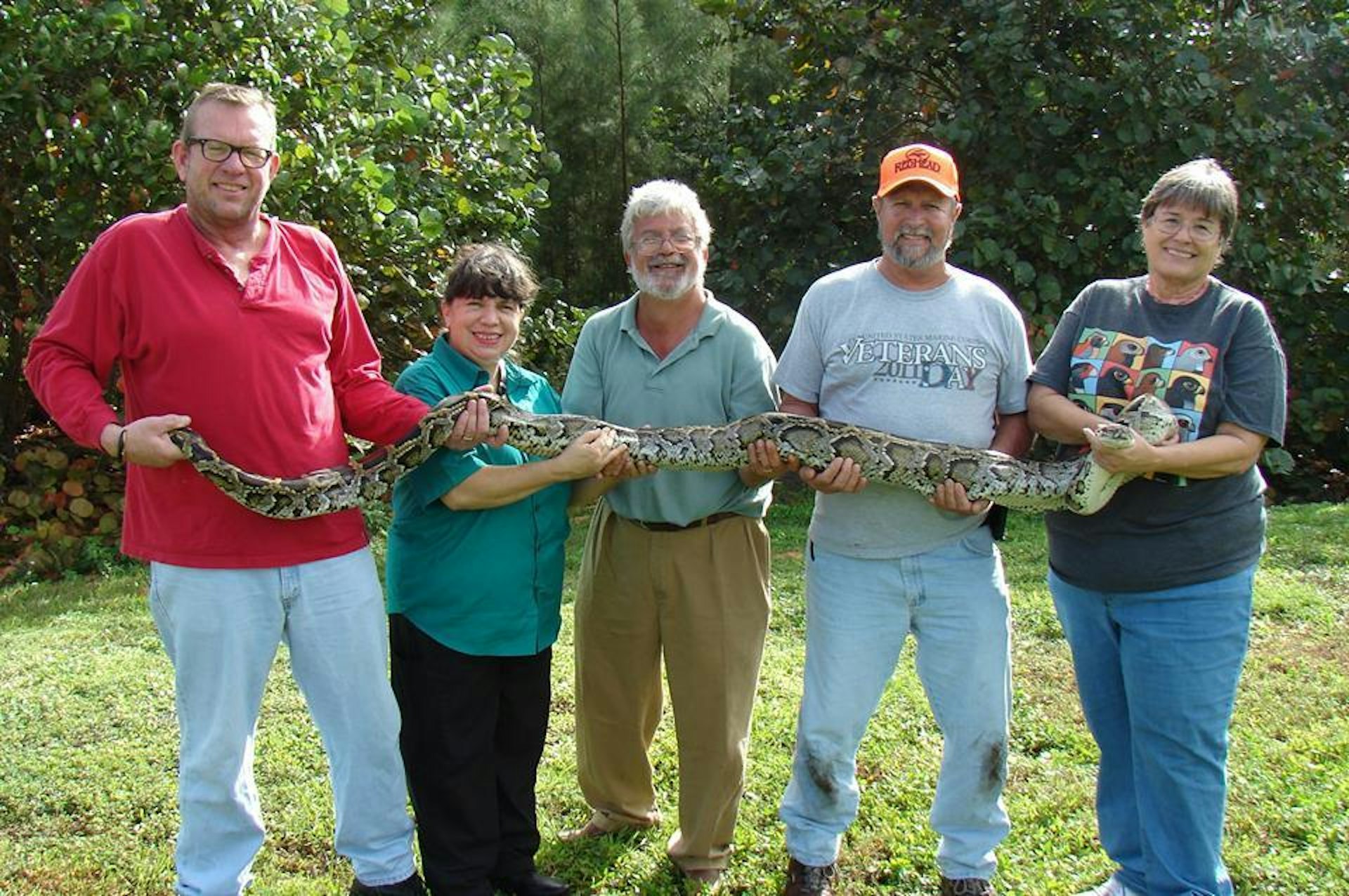Python Challenge Nets 106 Invasive Snakes in Florida Everglades | Inverse