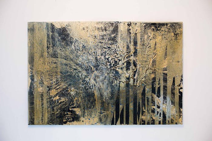 Rachel Harris, Visual Artist and Playmate Who Loves Black Metal | Q&A ...