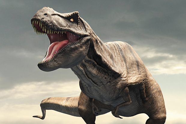 America's Most Famous Dinosaur, Sue the T. Rex, Has a Sexual Identity ...