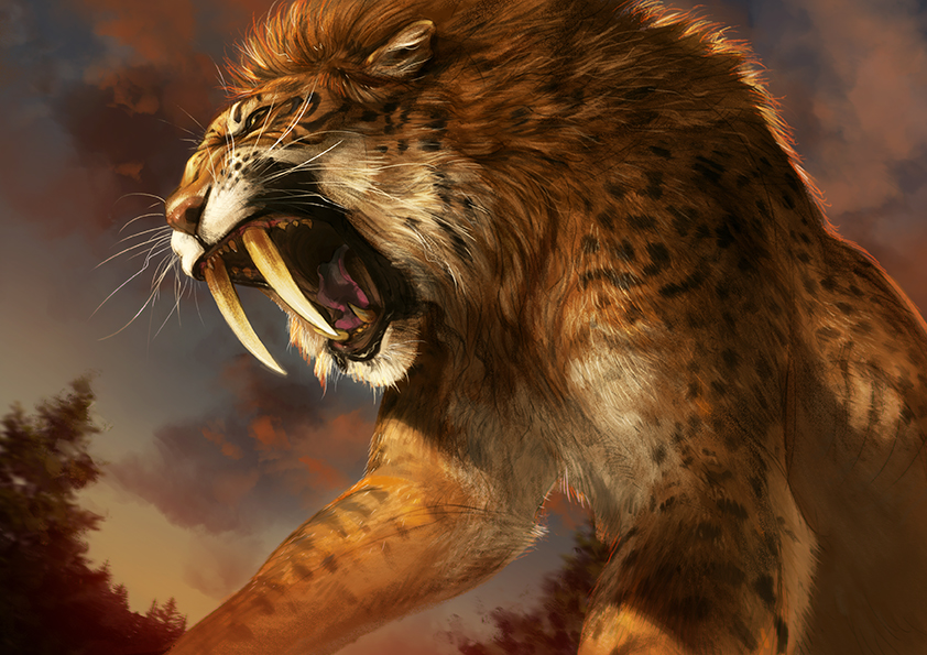 Ancient DNA Connects Saber-Toothed Tigers and House Cats | Inverse