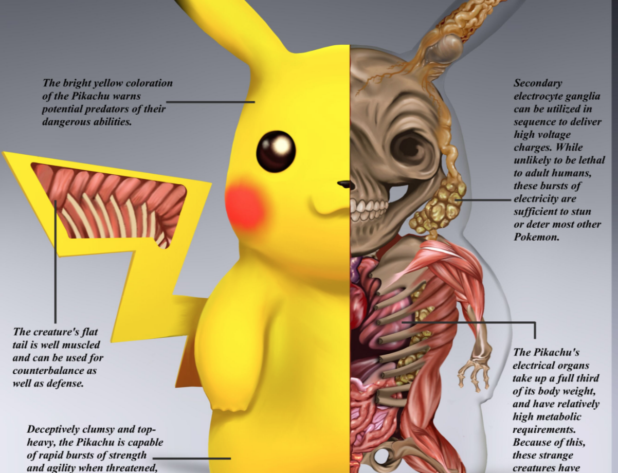 Pokéanatomy Imagines the Innards of Pokémon | Inverse