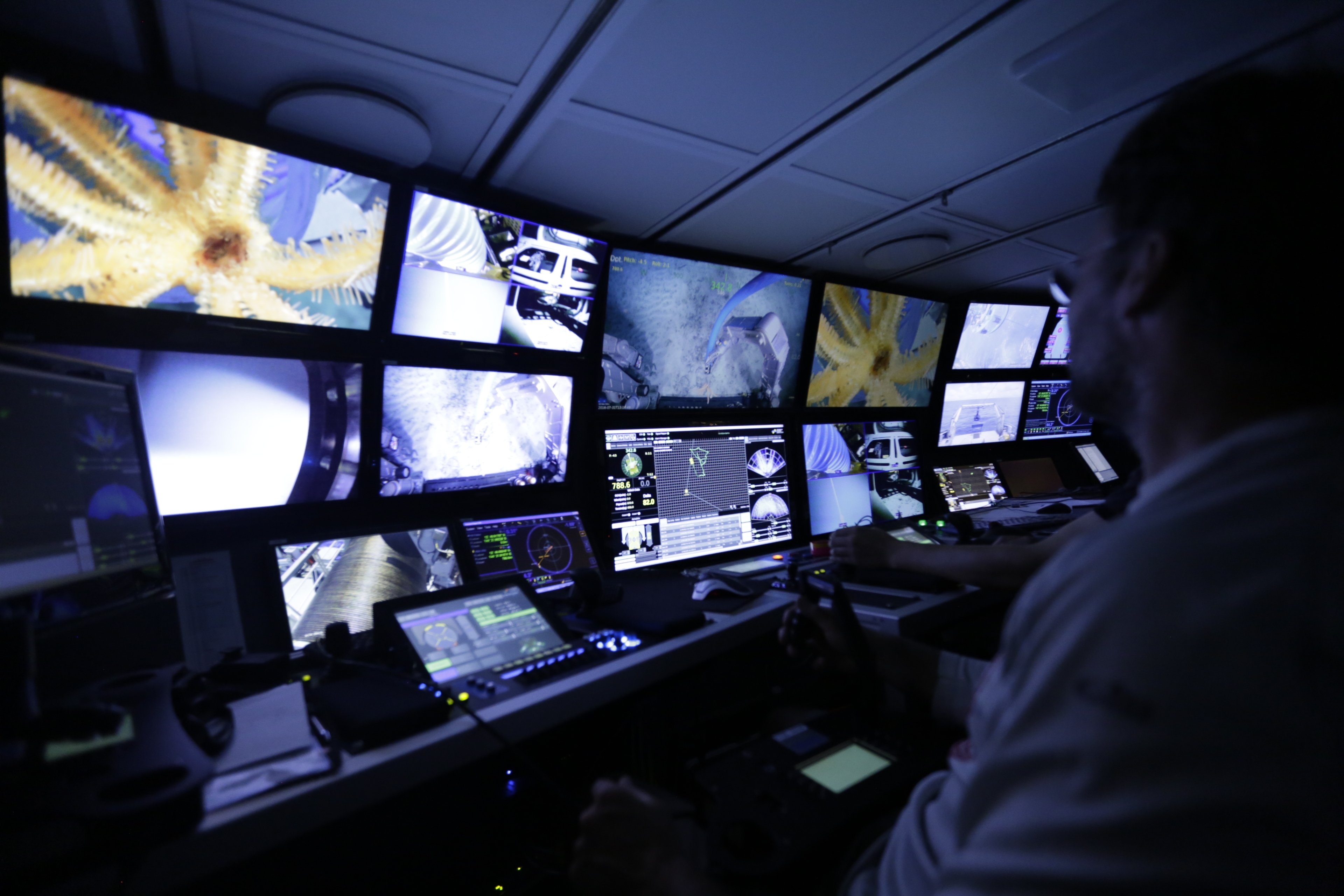 Nuclear Testing Helps Identify 400 Year Old Greenland Sharks | Inverse