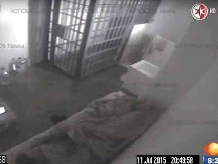 Why Biologist Joe Roman Wants to Turn Gitmo Into Laboratory | Inverse