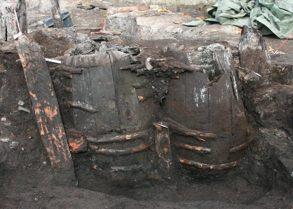 Ancient Feces Study Shows What Parasites Plagued Human Ancestors | Inverse