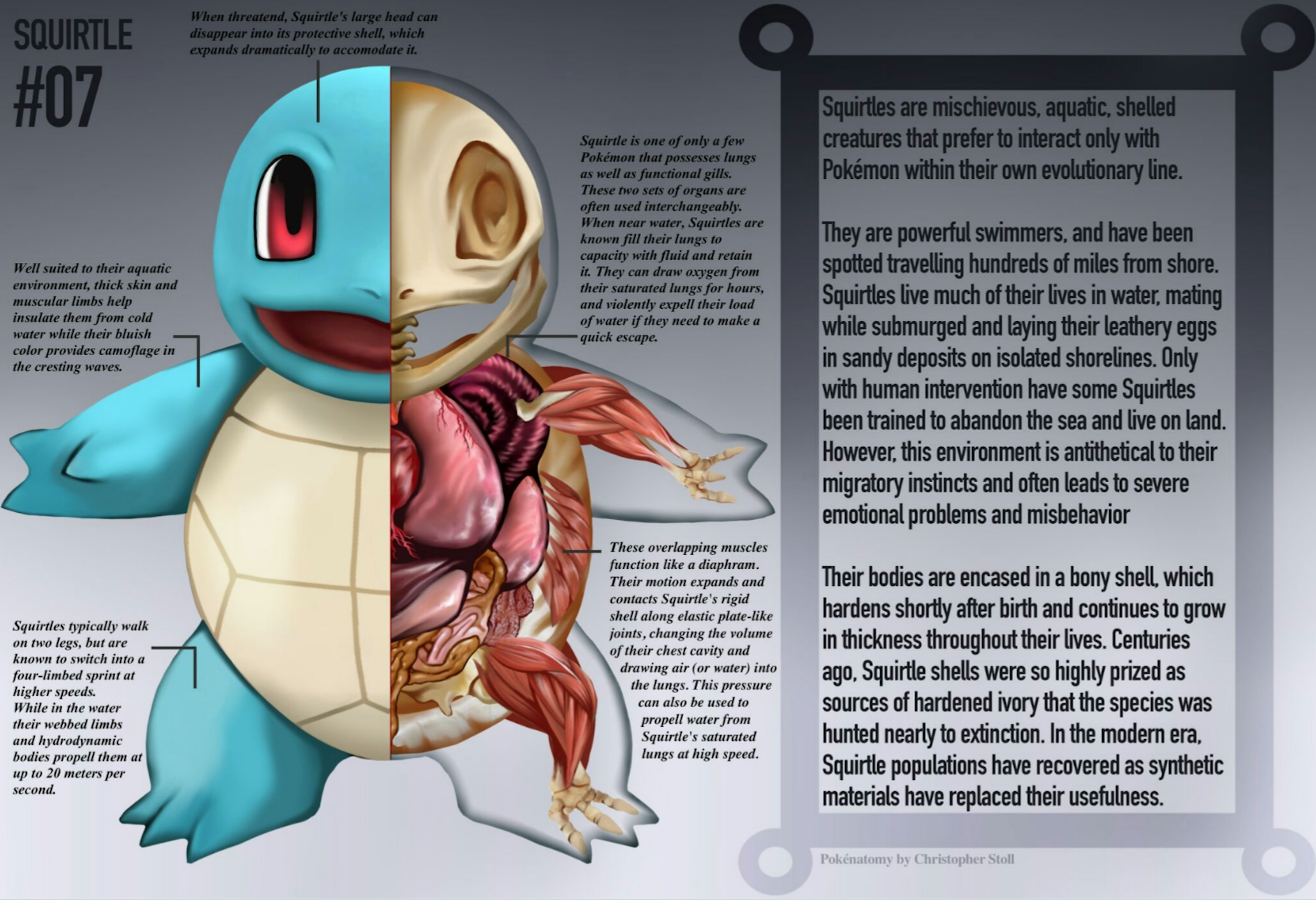 Pokéanatomy Imagines the Innards of Pokémon | Inverse